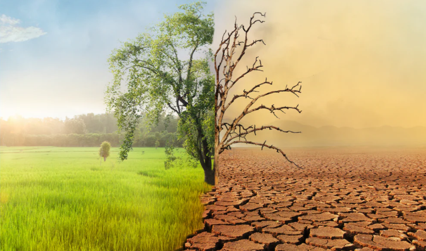 Klimatické zmeny sú tak aktuálne, že výsledky štúdií desia. Vedci ...