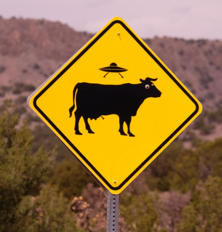 BRAINEE.sk - GALÉRIA Pozor, UFO a komáre kradnúce ľudí. A čo keď vám na hlavu spadne krava? Toto ...